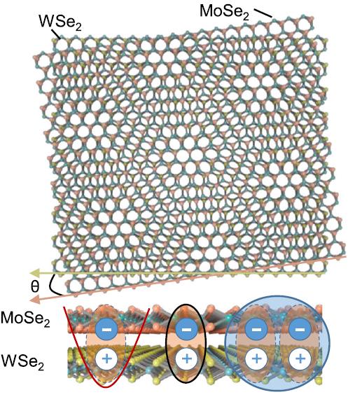 Paper published in Nature Communications – Wieczorek lab